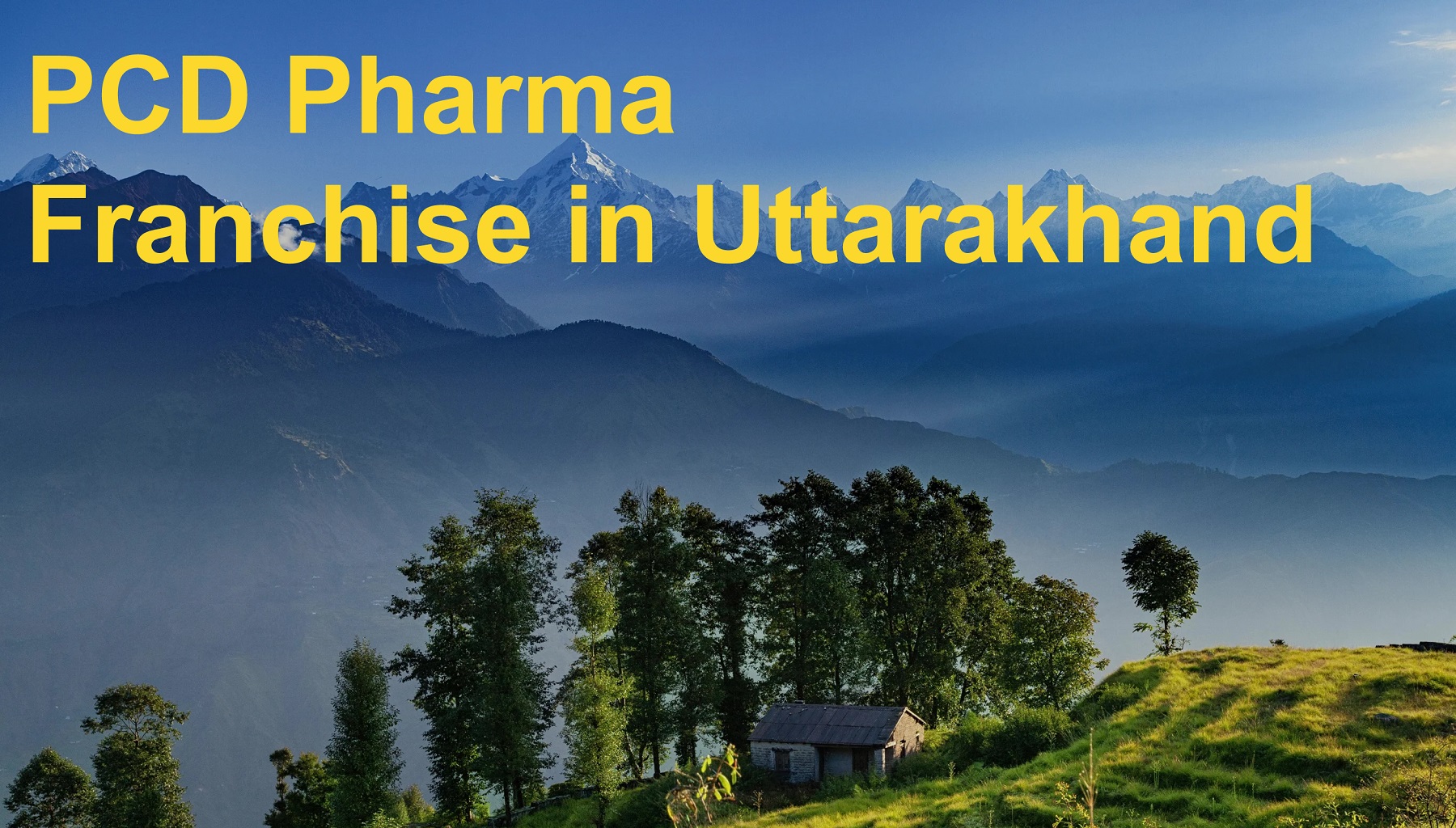 PCD Pharma Franchise in Uttarakhand - Vibcare Pharma
